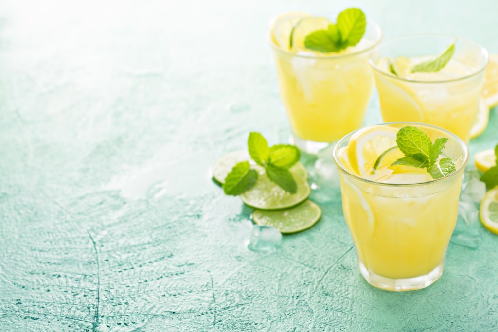 How to Make a Refreshing Florida Mojito 🍹🌴 - Cruise Cocoa