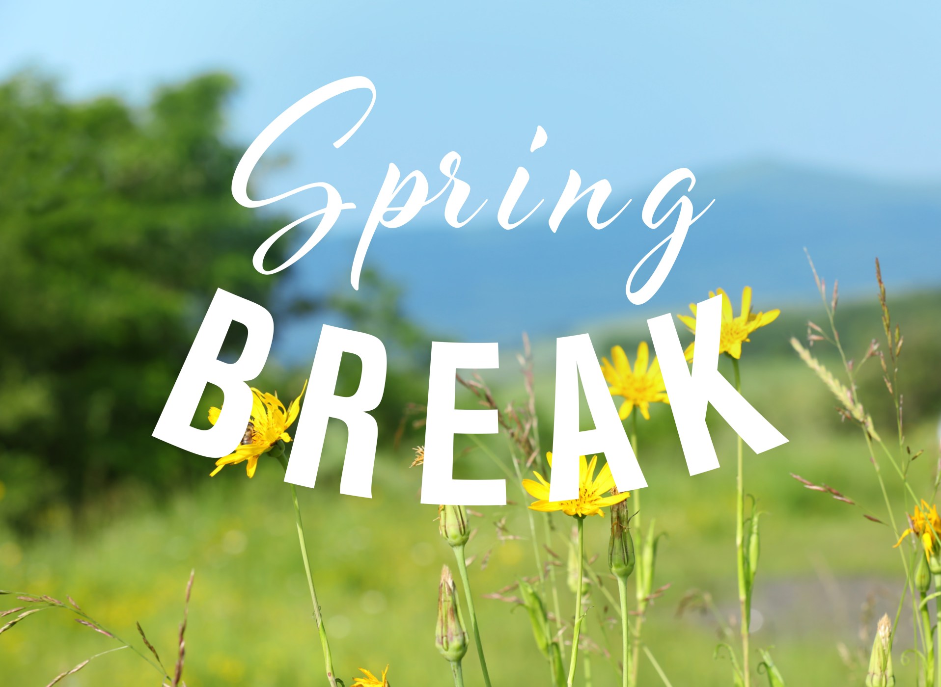 The Best Florida Destinations For Spring Break 2025 | Cruise Cocoa
