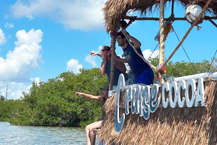 Dolphin Sightseeing Boat Tour from Melbourne | Cruise Cocoa